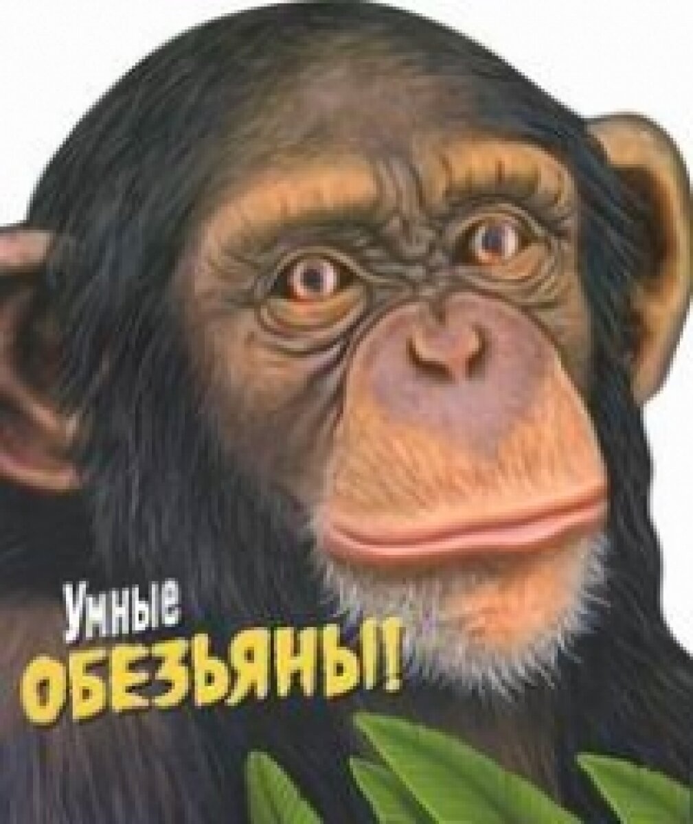 Умные обезьяны!