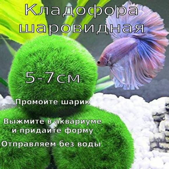 Декорация для аквариума/террариума