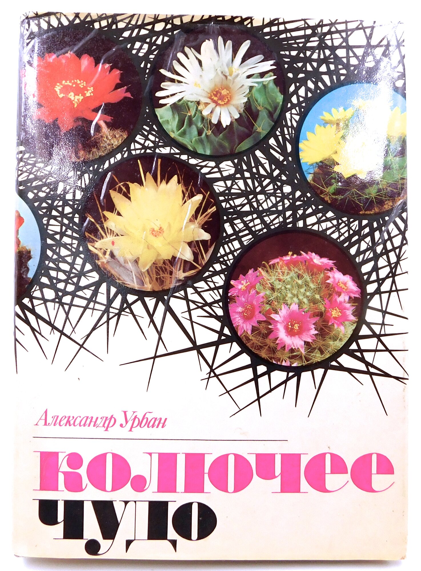 Книга "Колючее чудо" Урбан А. 1981 год