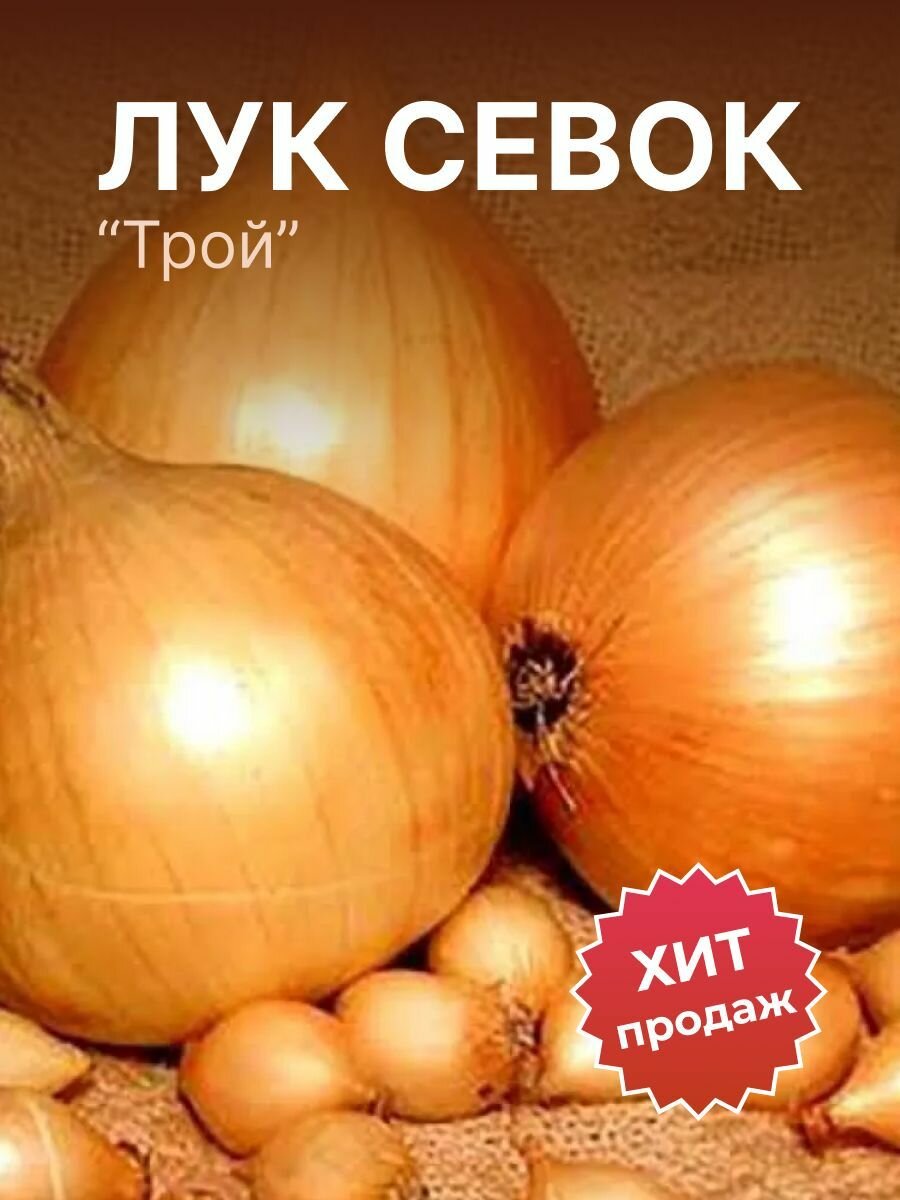 Лук севок на посадку "Трой" 800г