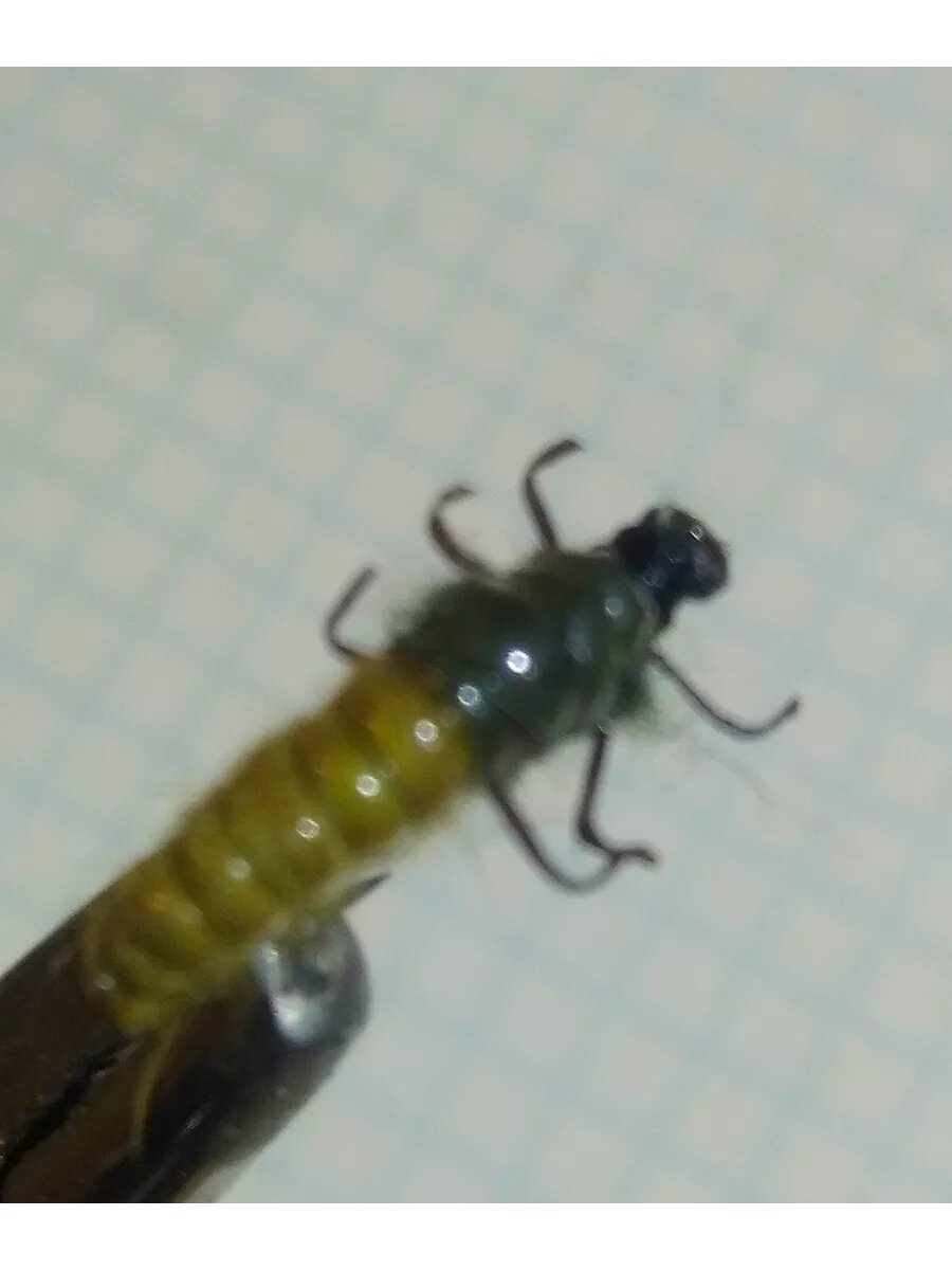 Ручейник 2 штуки.