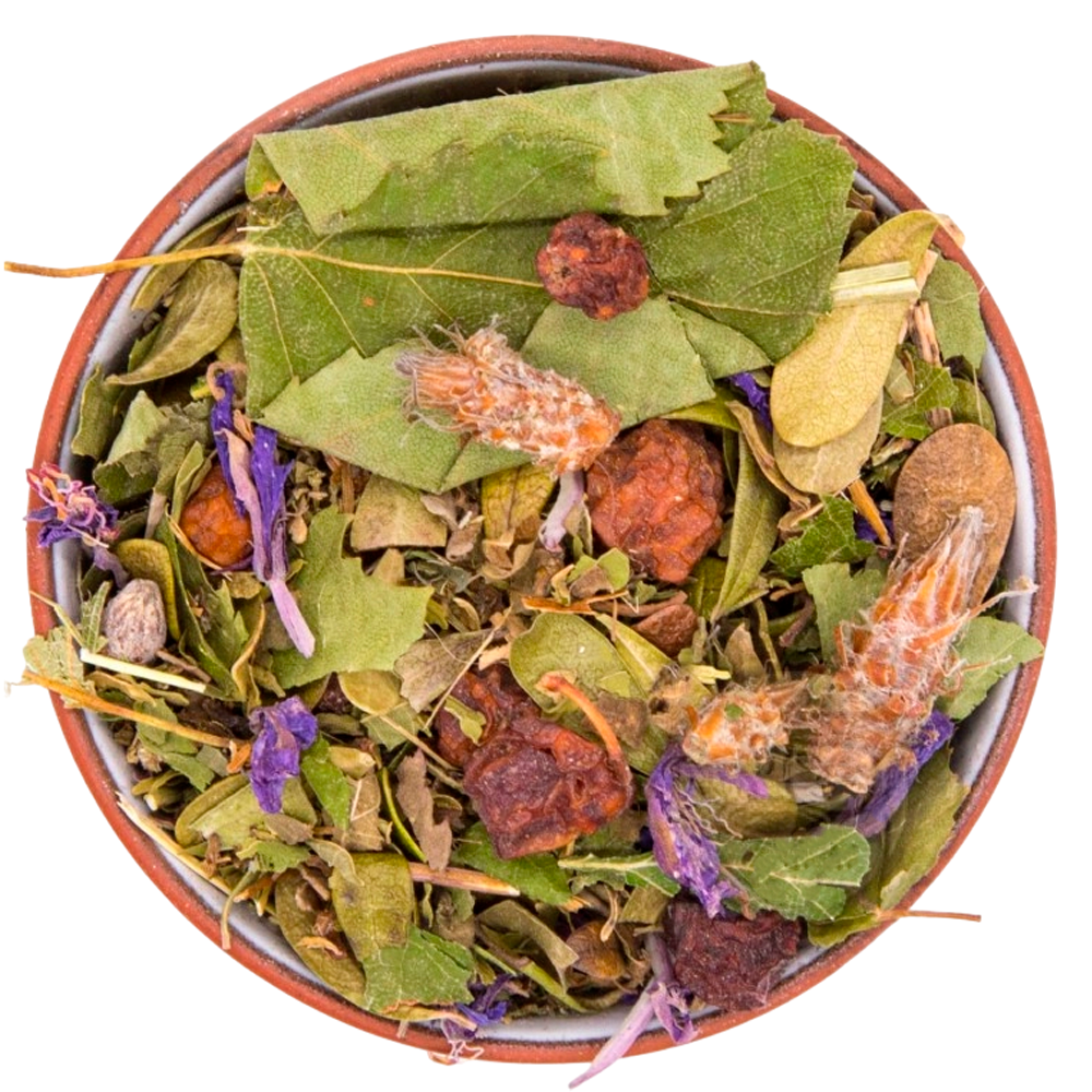 Травяной сбор при заболевании суставов