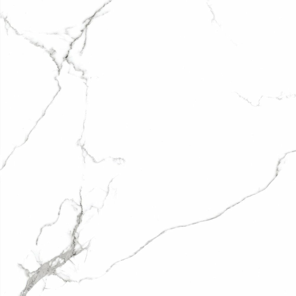 Керамогранит Royce Calacatta Venatino Matt R_NR1001 белый, 60х60
