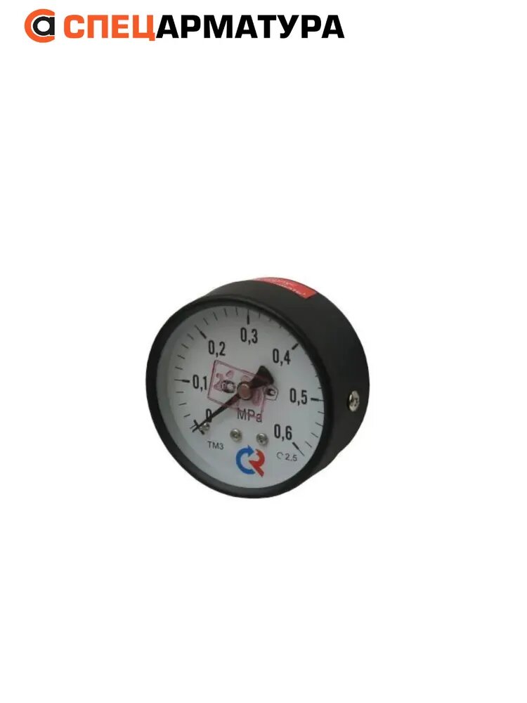 Манометр показывающий технический ТМ-310Т.00(0-0.6МРа)G1/4.2,5
