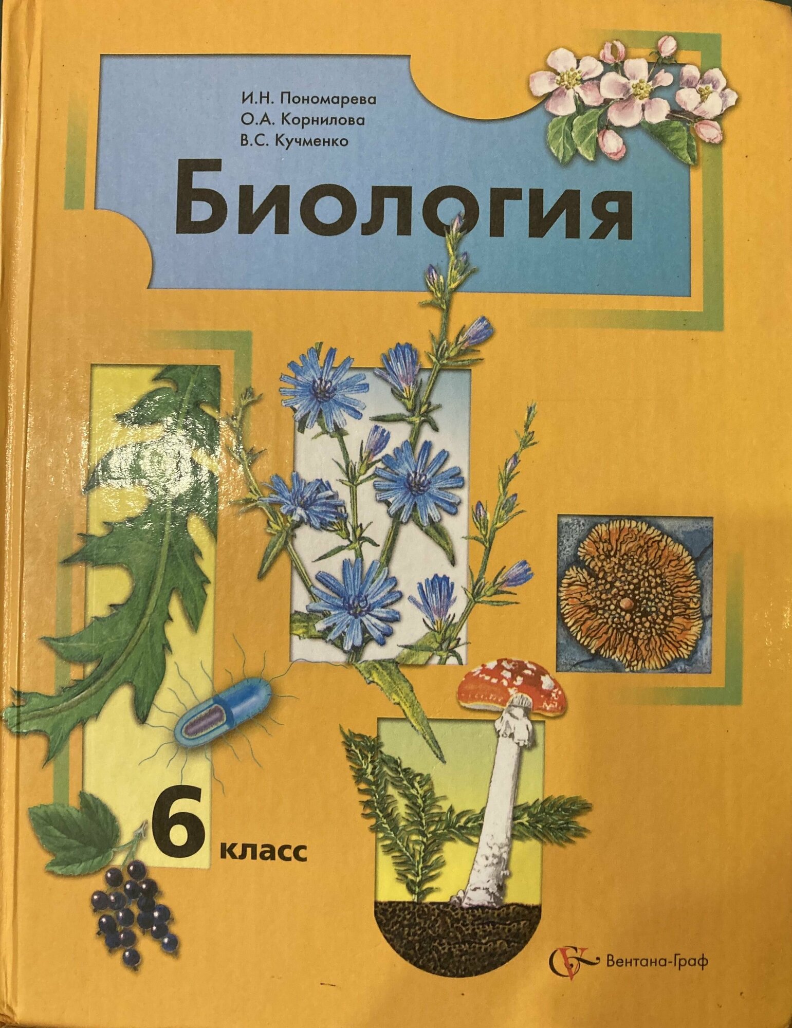 Биология. 6 класс. Учебник