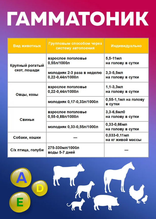 Гамматоник для нормализации обмена веществ 1000 мл — фото 1