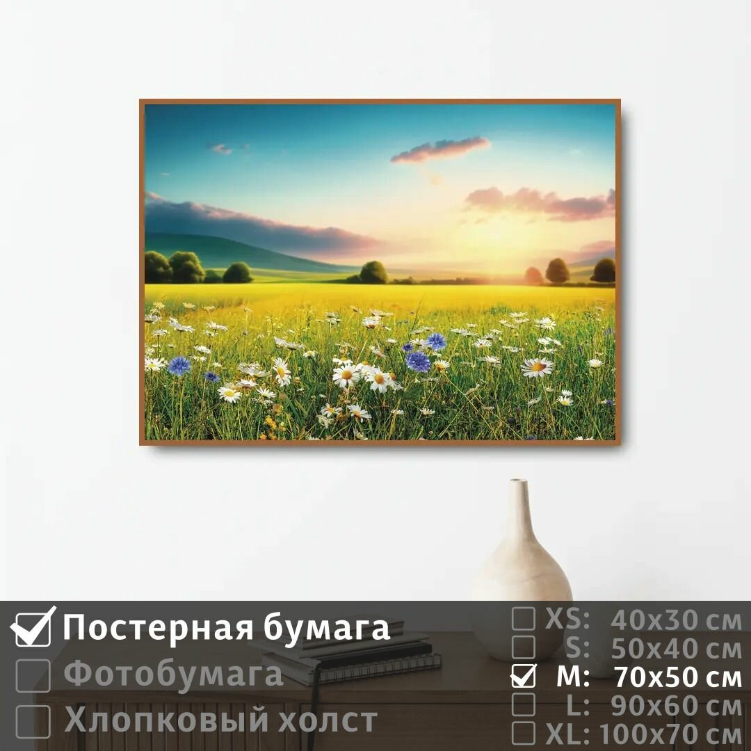 Постер на стену Полевые Цветы Васильки И Ромашки 70х50 см ПолиЦентр
