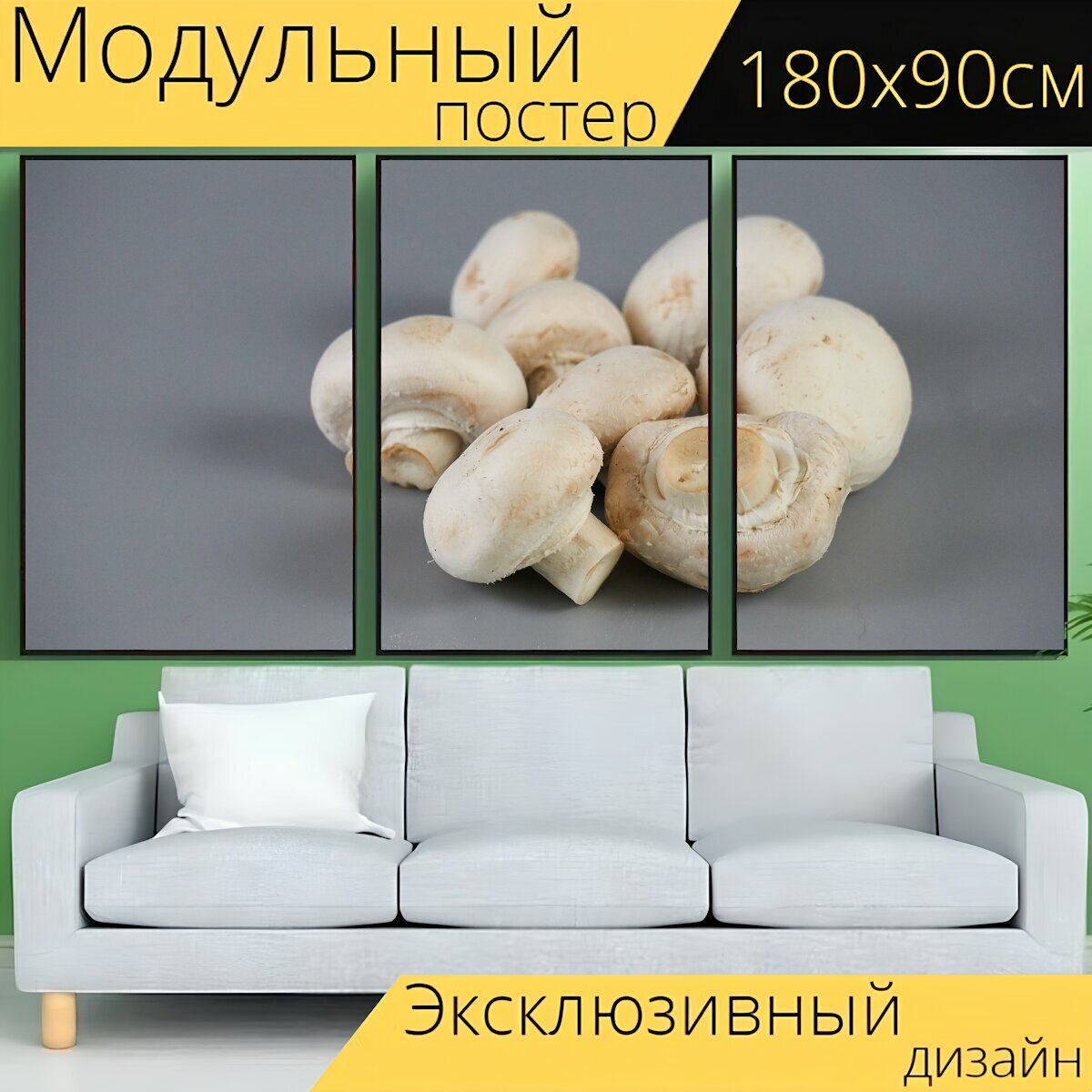 Модульный постер "Шампиньоны, микологии, съедобные грибы" 180 x 90 см. для интерьера на стену в тубусе