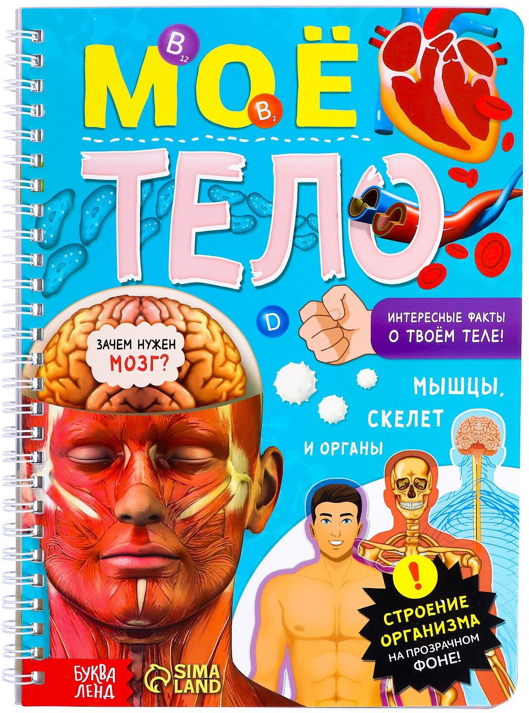 Обучающая книга "Моё тело" с прозрачными страницами для детей, изучаем строение тела, 32 страницы