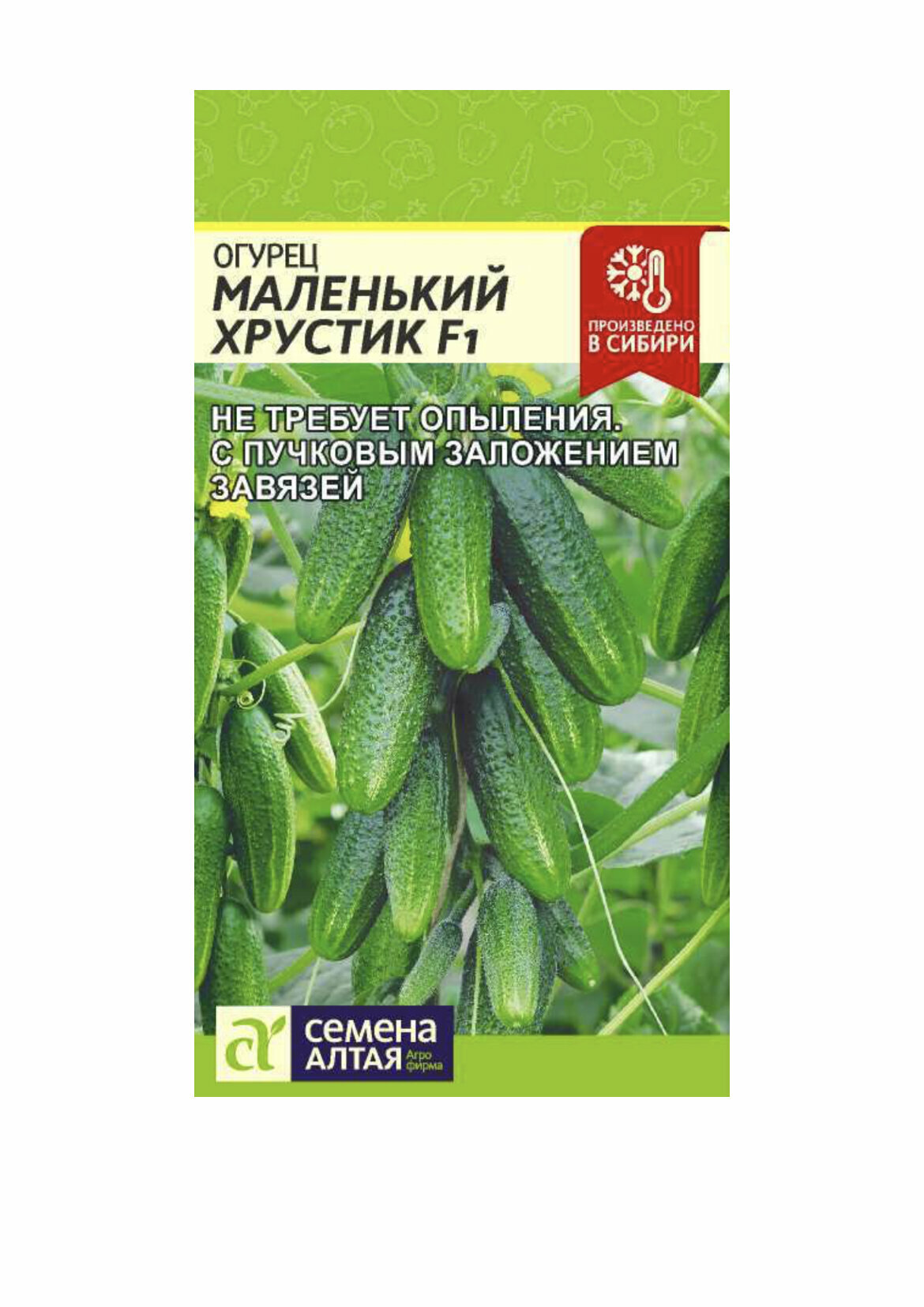 Семена Огурец Маленький Хрустик F1, Семена Алтая, 6 семян, 1 пакет (зеленый)