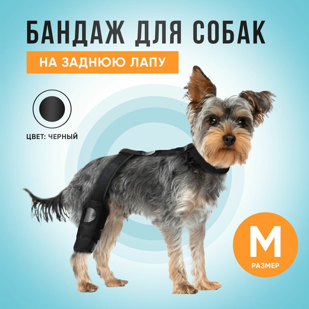 Бандаж для собак на заднюю лапу, на локтевой и коленный сустав, со вставками, M.