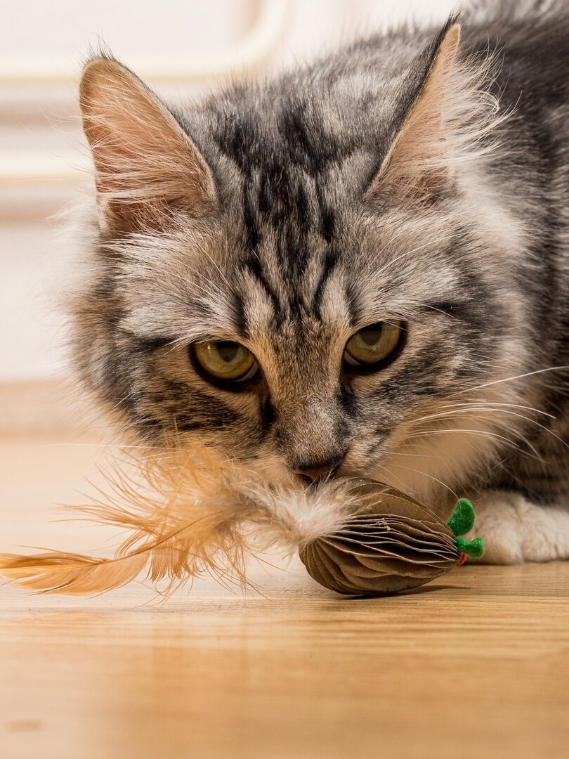 Игрушка для кошек Japan Premium Pet дразнилка Мышонок-летун, серия "Волшебная коробка для кошки"