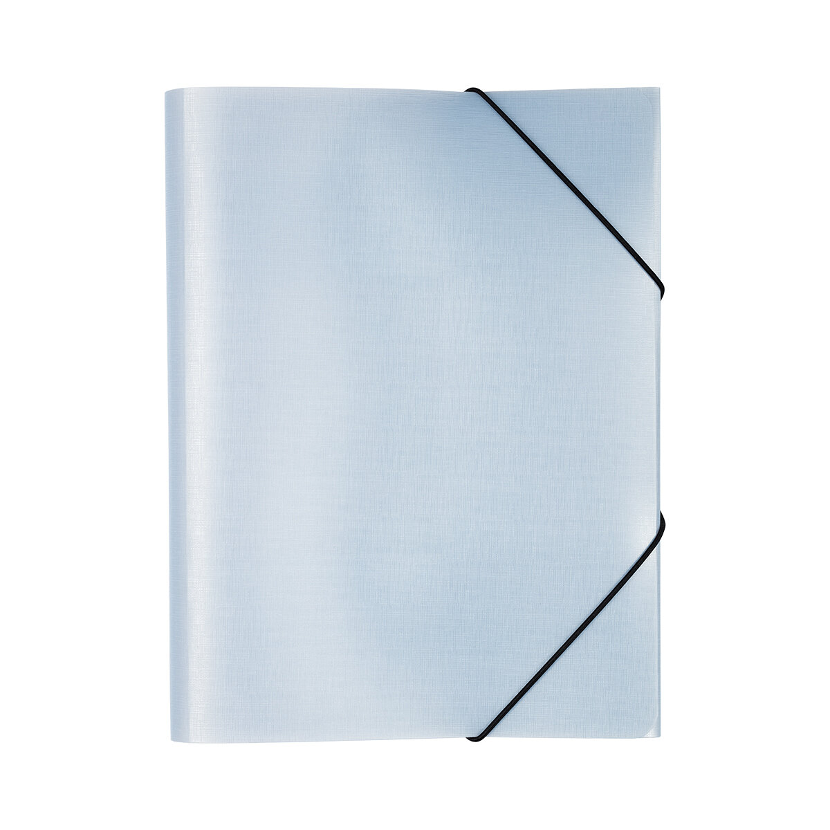 Папка на резинке "Expert Complete" Trend ICEberries A4 600 мкм 35 мм лёд EC210420074