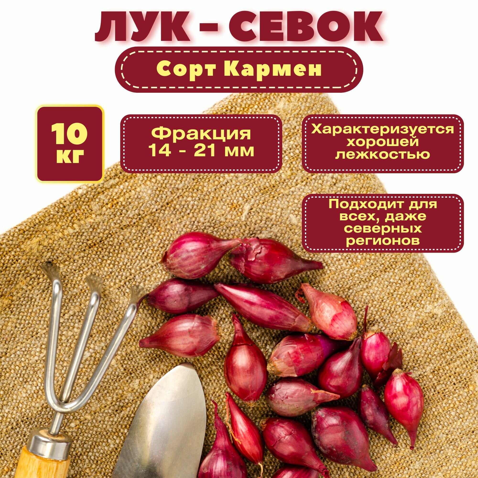 Лук севок "Кармен" в сетке 10 кг. Репчатый лук Кармен подходит для выращивания в открытом грунте и в теплице. Он прекрасно адаптируется к различным климатическим условиям и не требует особого ухода.