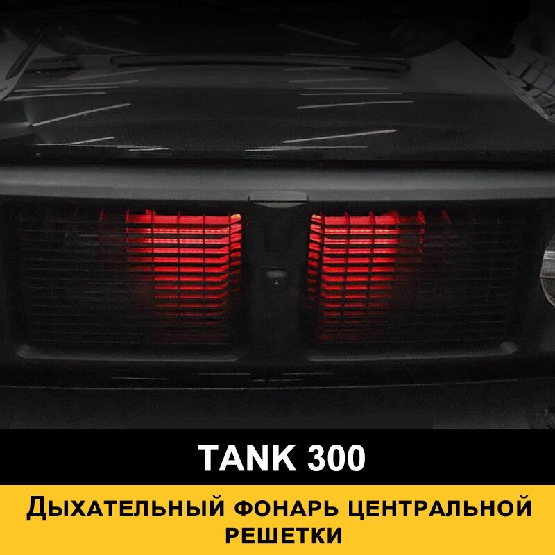 Защита внешних частей автомобиля