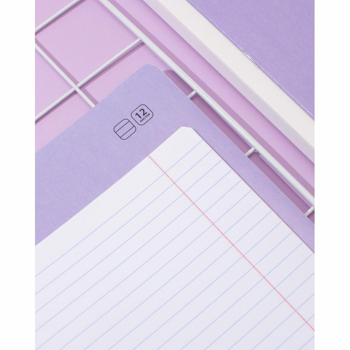 Тетрадь школьная 12л, А5 Комус Класс Отличник (линейка, скрепка, фиолетовая) набор 10шт, 24 уп.