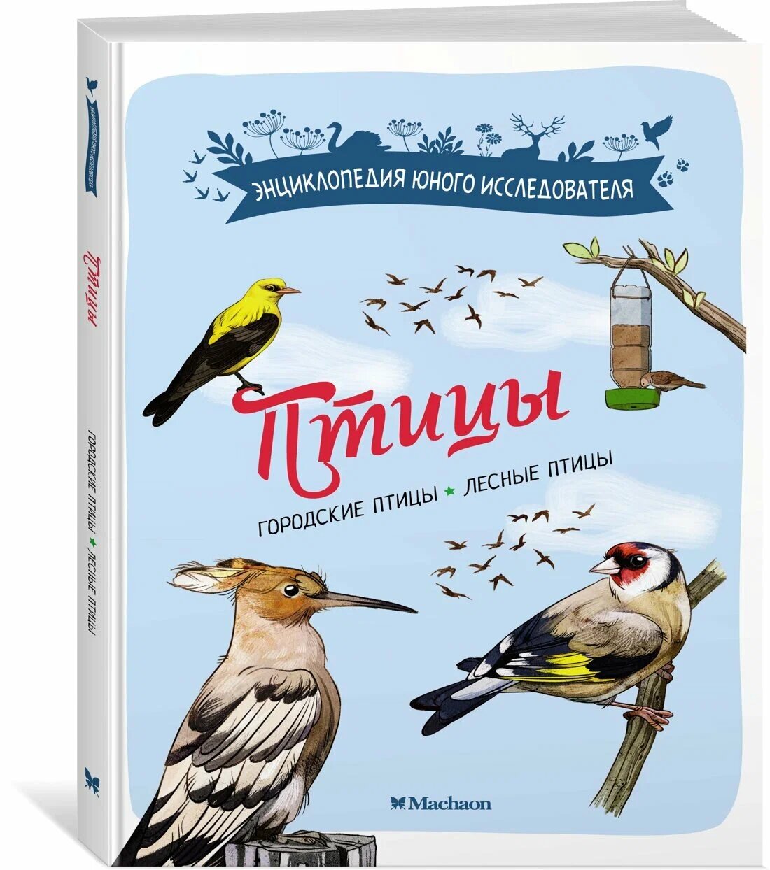 Птицы Городские птицы Лесные птицы Книга Люшези М 6+