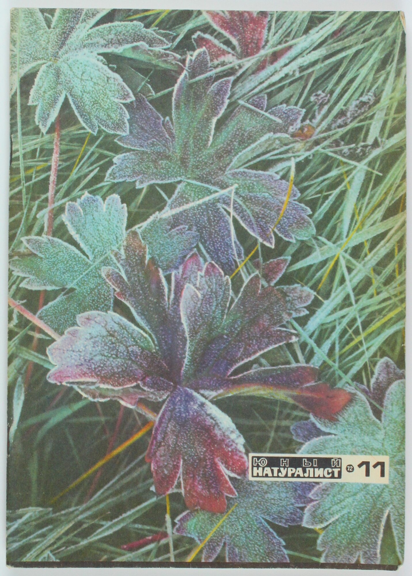 Винтажный журнал СССР Юный Натуралист, 1972 год