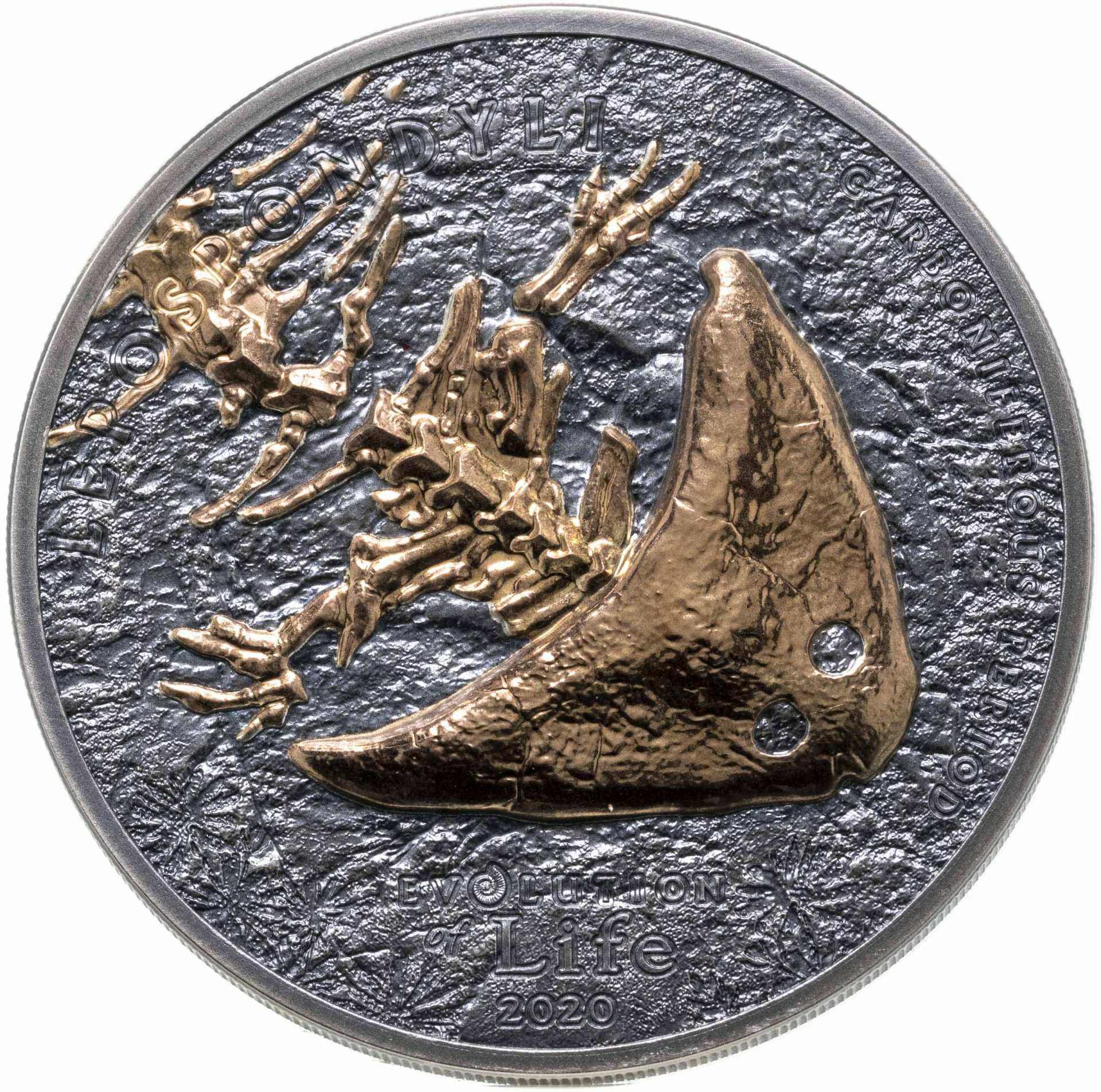 Монголия 500 тугриков 2020 "Эволюция - Динозавр Диплокаулус" в подарочном боксе с сертификатом, Серебро 999, в сохранности UNC
