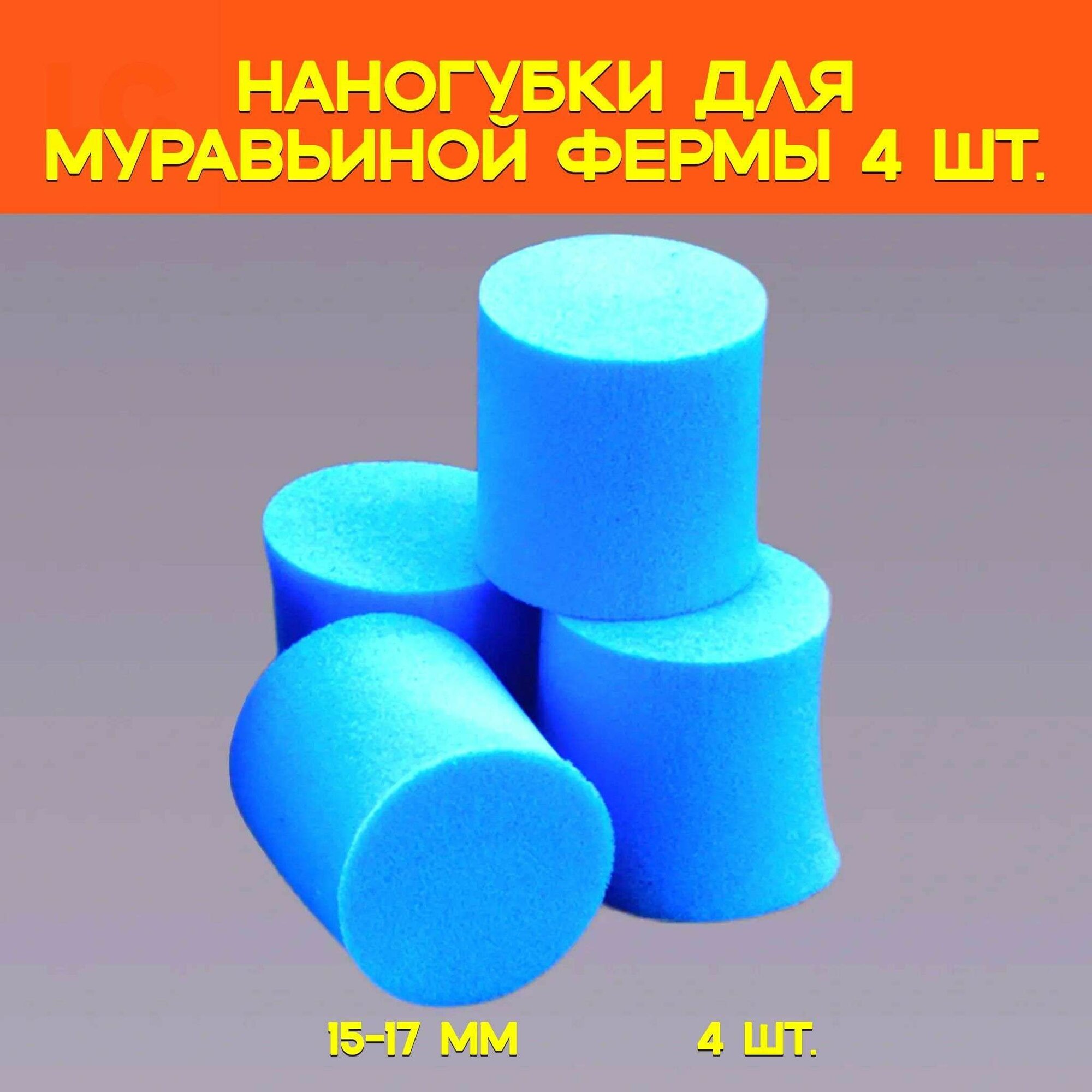 LCУвлажняющая наногубка для муравьиной фермы и муравьев