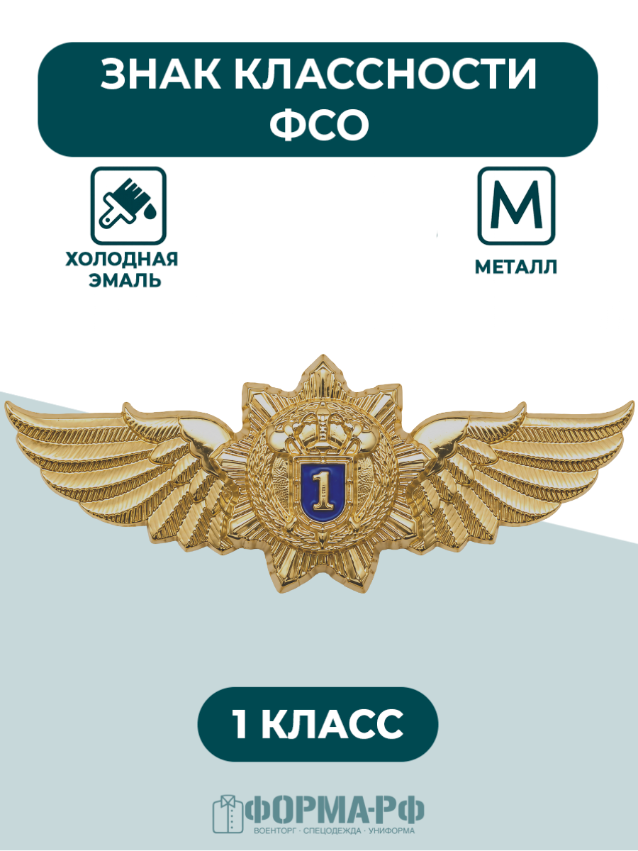 Знак классности ФСО 1 класс