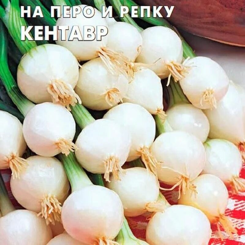 Коллекционные семена лука репчатый Кентавр (на перо и репку)