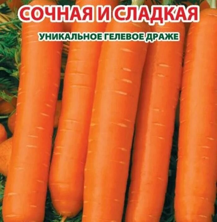 Коллекционные семена моркови Сочная и Сладкая