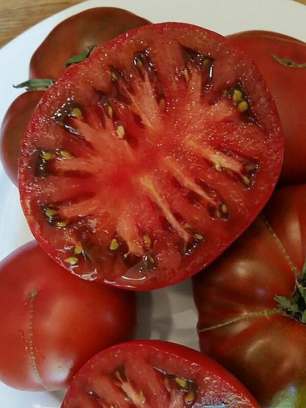 Коллекционные семена томата Шоколад Чероки