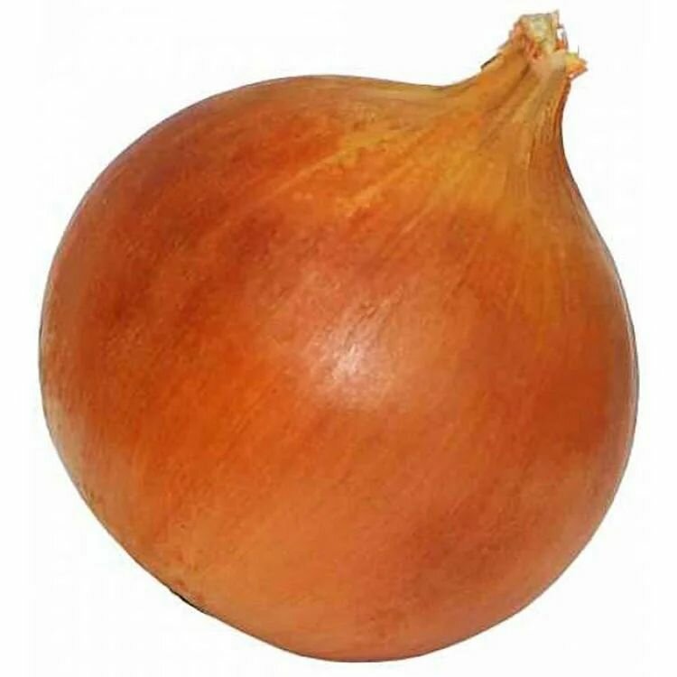 Коллекционные семена лука репчатый Червонец F1