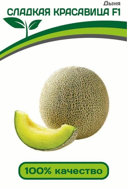 Коллекционные семена дыни Сладкая Красавица F1