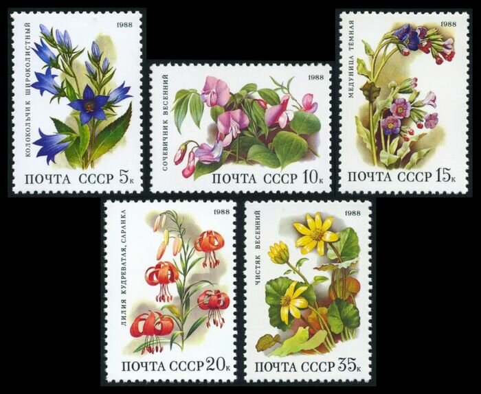 Почтовые марки СССР 1988 г. Флора. Цветы. Серия из 5 марок. MNH(**)