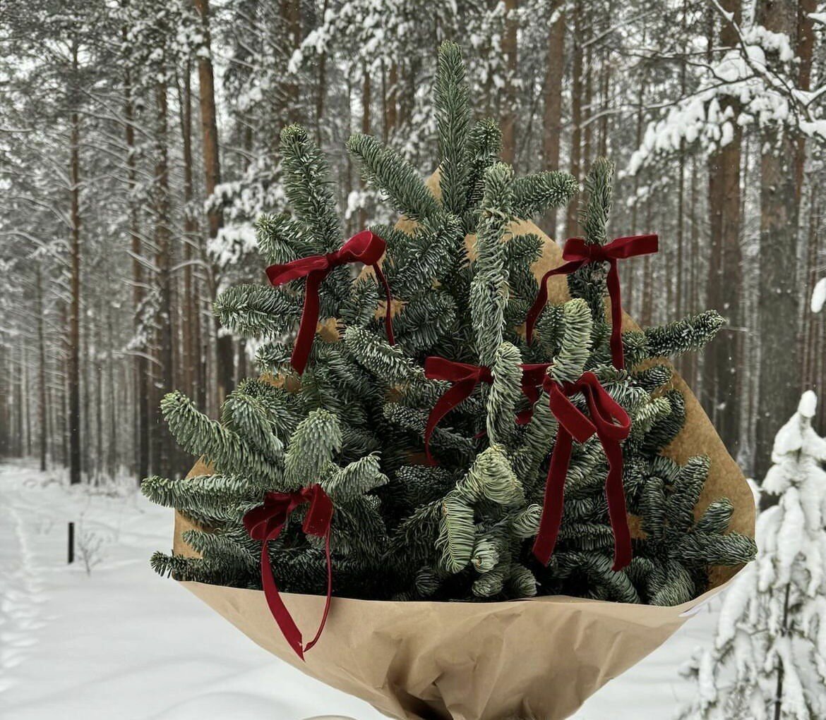 Новогодняя композиция, хвойный букет из натурального нобилиса
