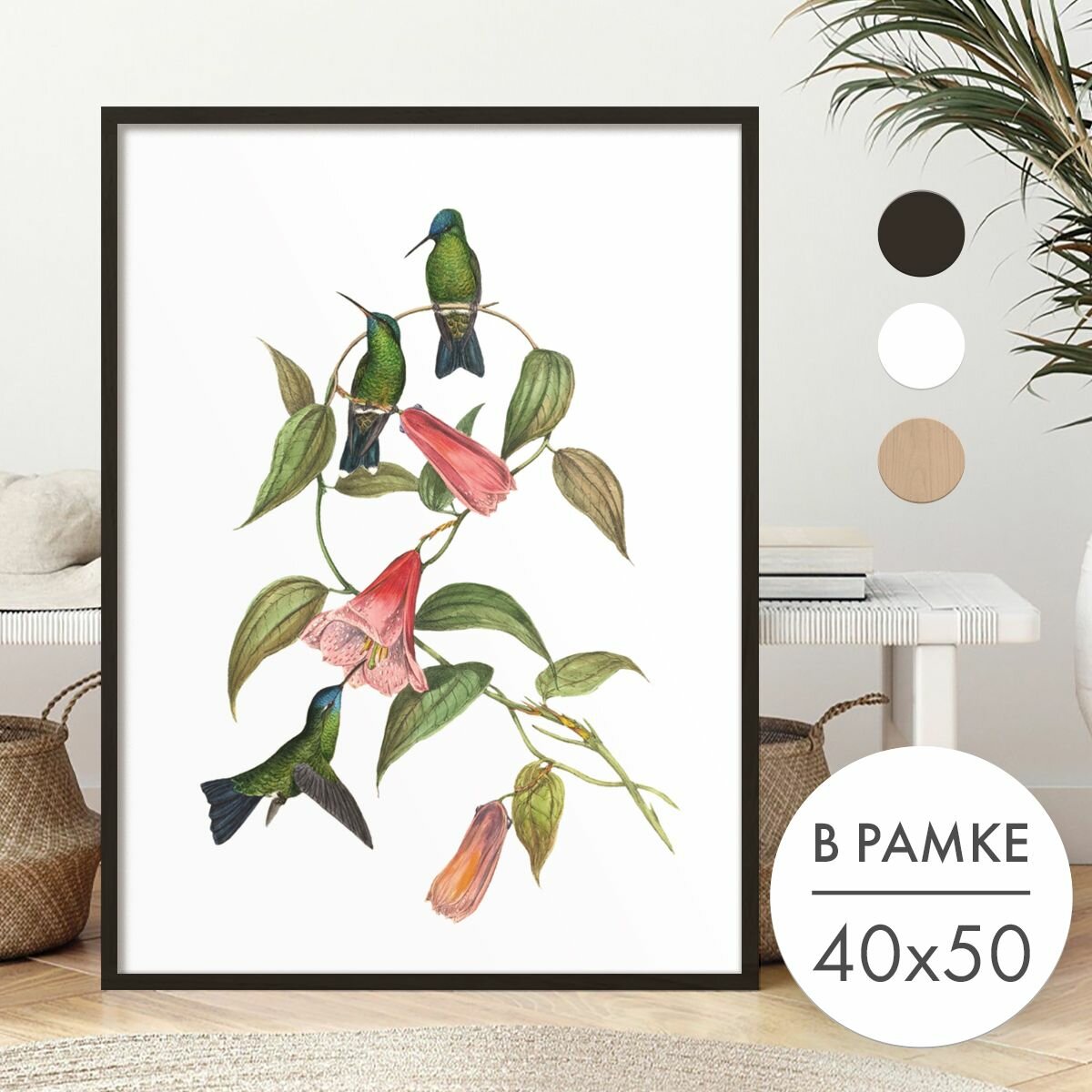 Постер 40х50 В рамке "Колибри" для интерьера