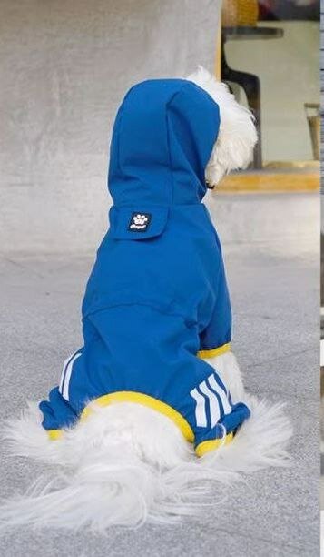 Дождевик Cheepet для собак малых и средних пород синего цвета