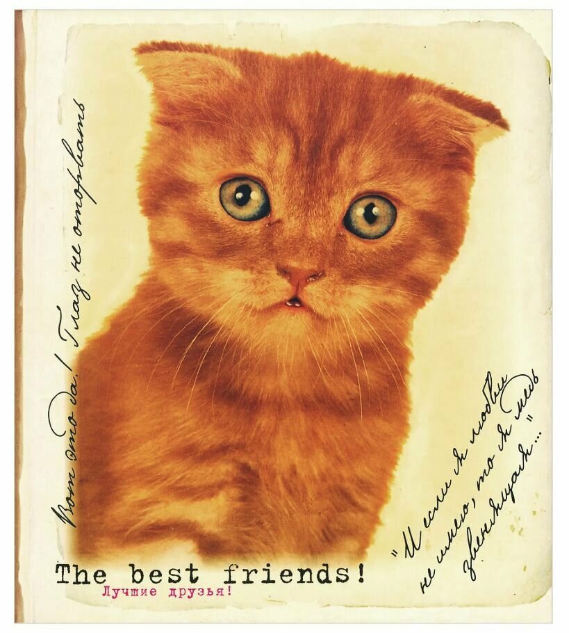 The Best Friends! / Лучшие друзья!