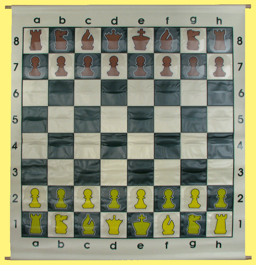 Шахматы демонстрационные с кармашками В тубусе (90 на 90 см)