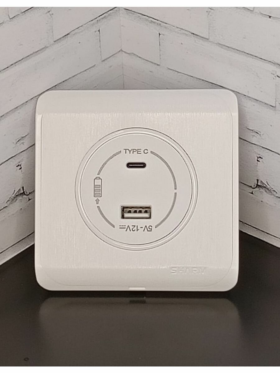 Розетка с USB+ TYPE C 160