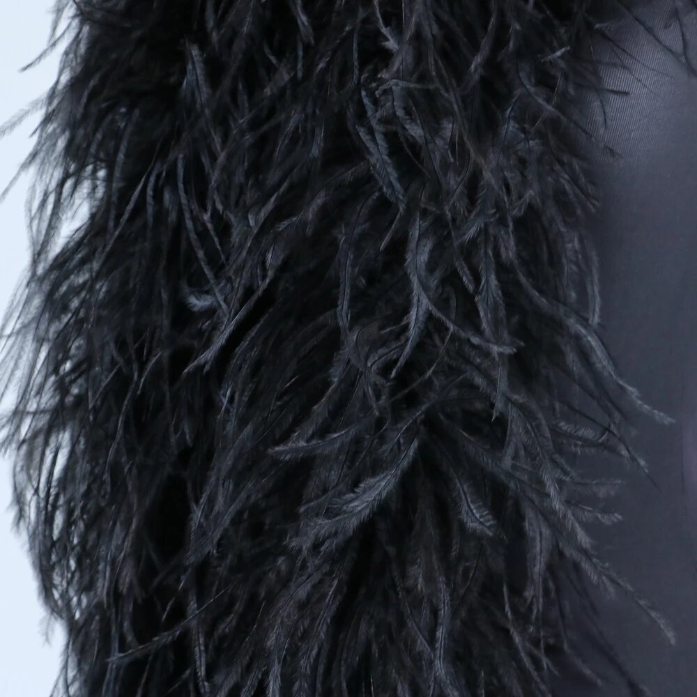 Боа из страусиных перьев WCPlume 2 метра Черный, 2 Meter 1PLY, black