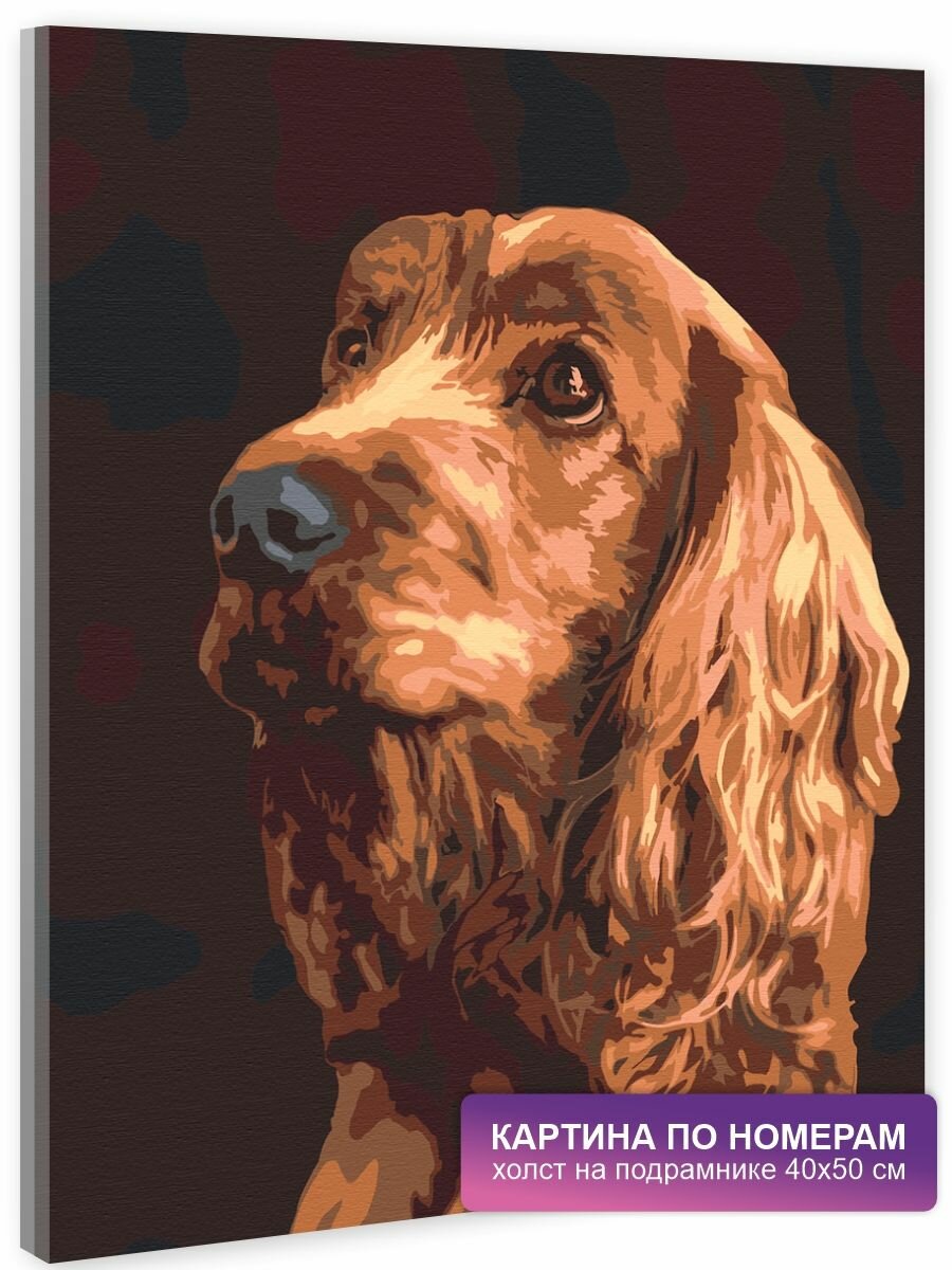 Картина по номерам на холсте с подрамником 40х50 см. Природа, животные, рыбы, птицы. Собаки, щенки. "Спаниель ", арт. 4448/