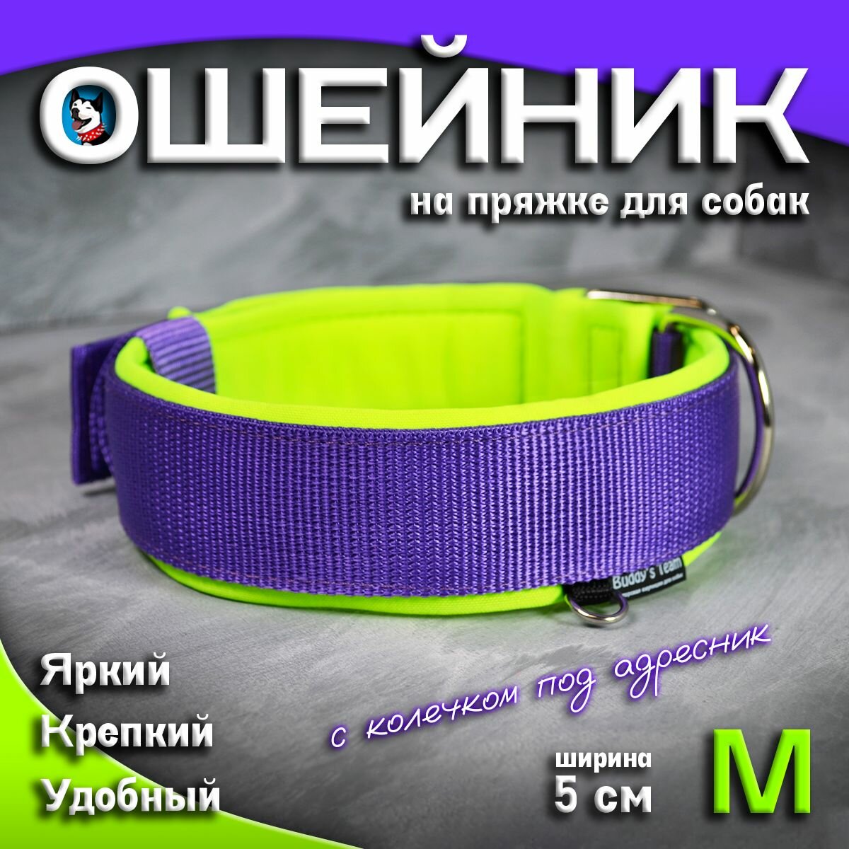Ошейник для собак Buddy team на пряжке, с мягким подкладом для средних и крупных пород, 5 см, размер M