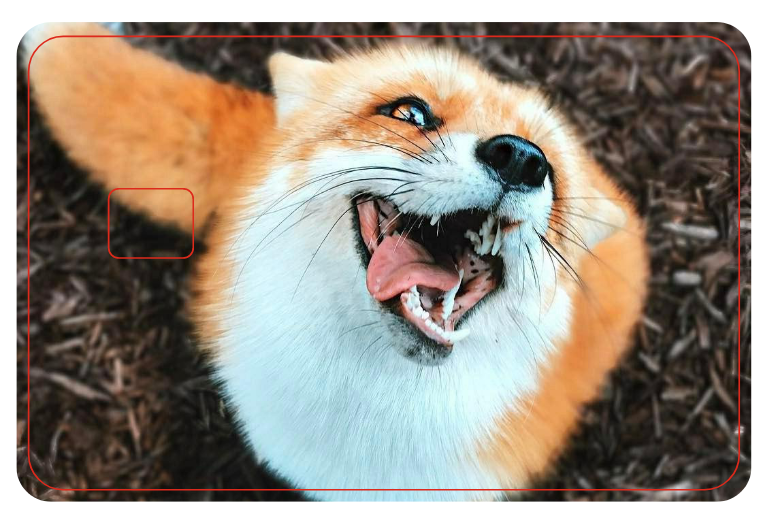 Наклейка на банковскую карту, стикер на карту, маленький чип, мемы, приколы, комиксы, стильная наклейка мемы, животные, лиса