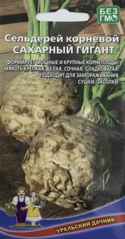 Сельдерей Сахарный гигант корневой Ранн (Уральский Дачник)