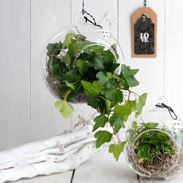 Стеклянный шар для декора Melone 14 см, Ideas4Seasons, 28053-4seasons