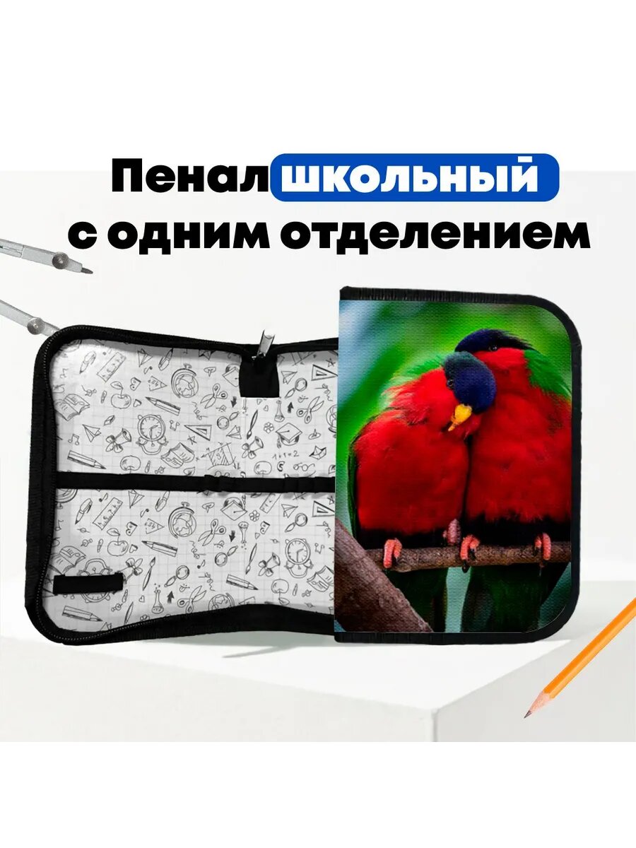 Школьный пенал Попугай
