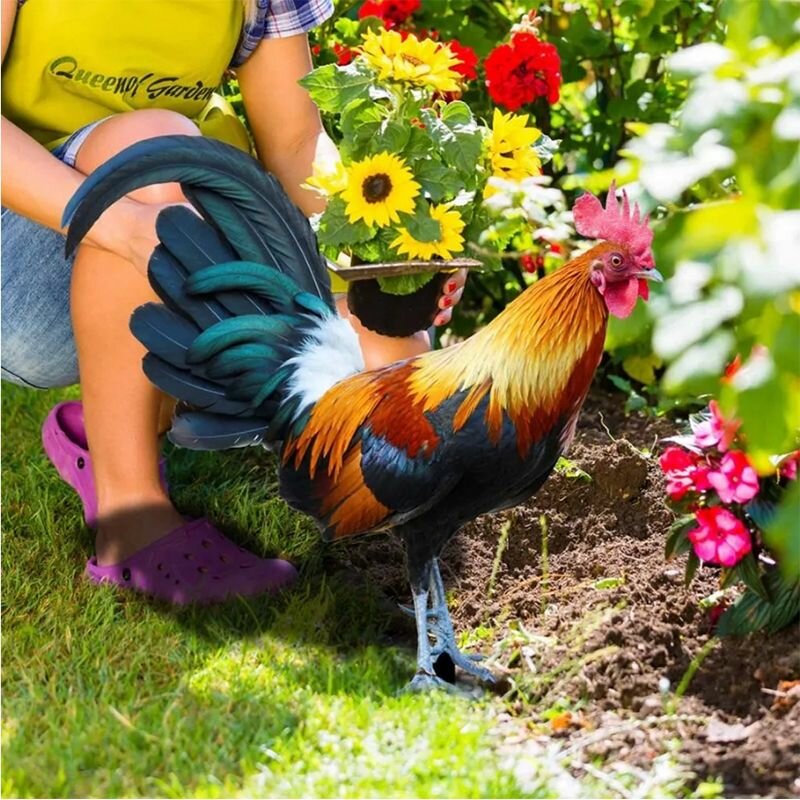 Садовая фигурка петуха из акрила для украшения газона и сада, яркий акцент в ландшафтном дизайне