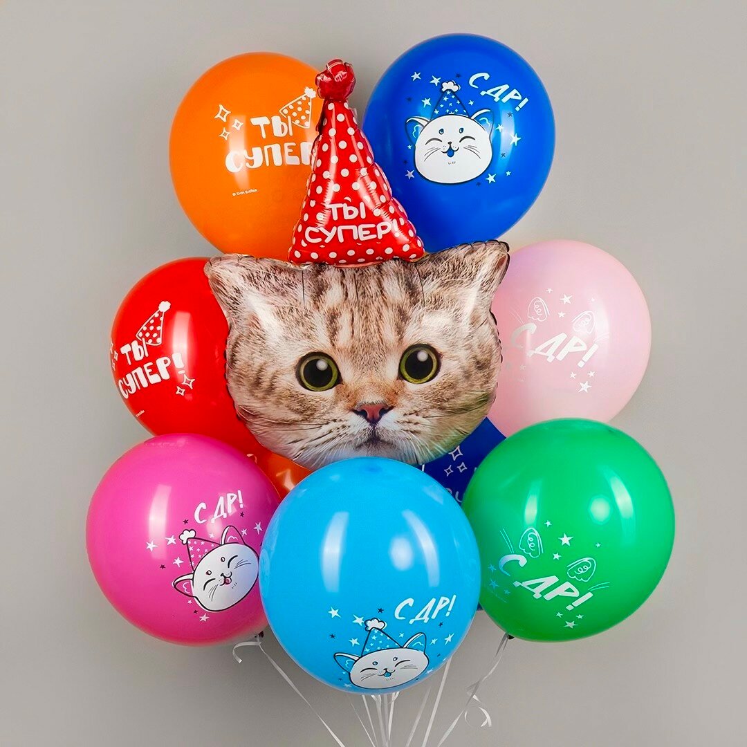 Фонтан из шаров "Котик в колпаке" и ассорти-шарики с надписями