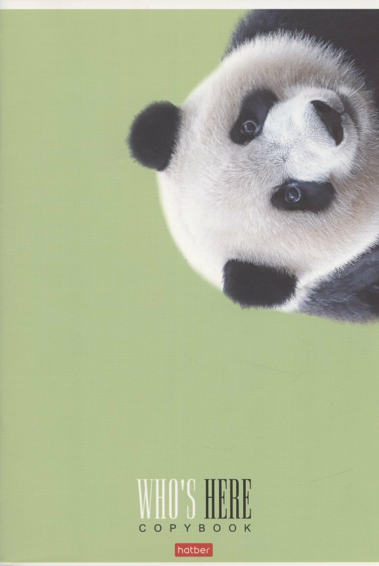 Тетрадь в клетку Hatber, "Кто здесь?", А4, 96 листов, в ассортименте