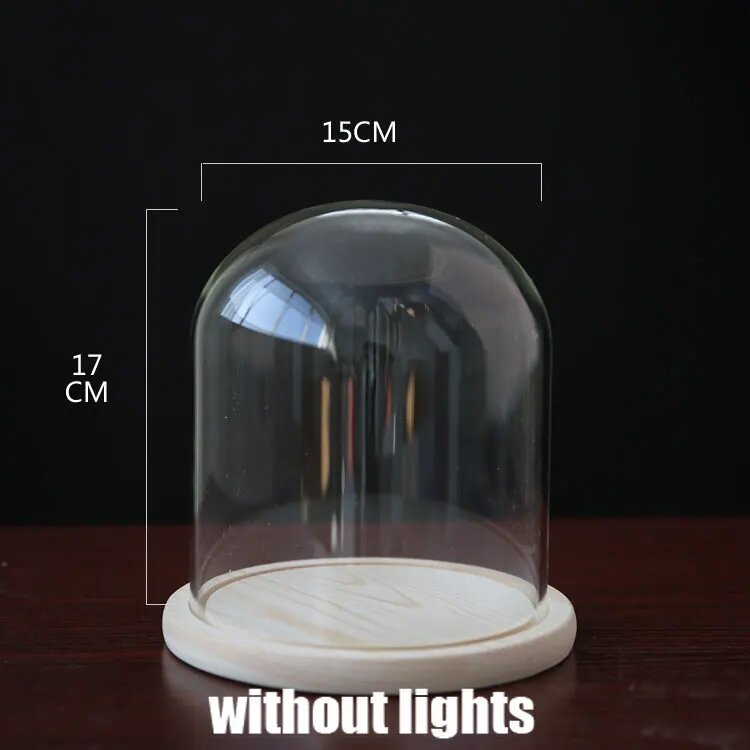 Стеклянный купол с деревянной подставкой