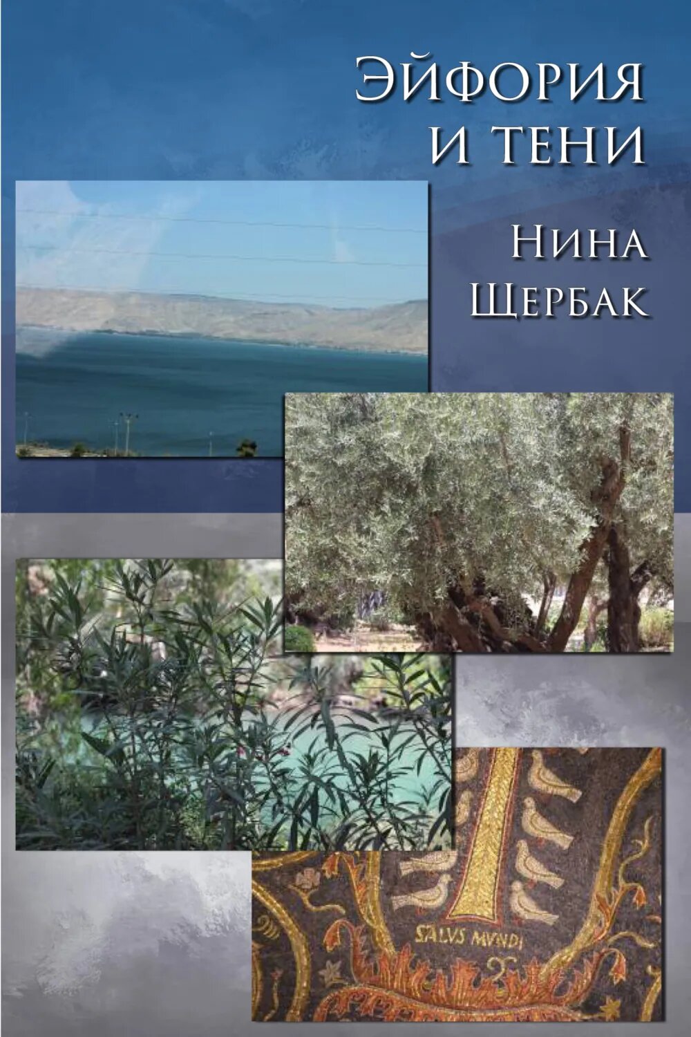 Эйфория и тени [Цифровая книга]