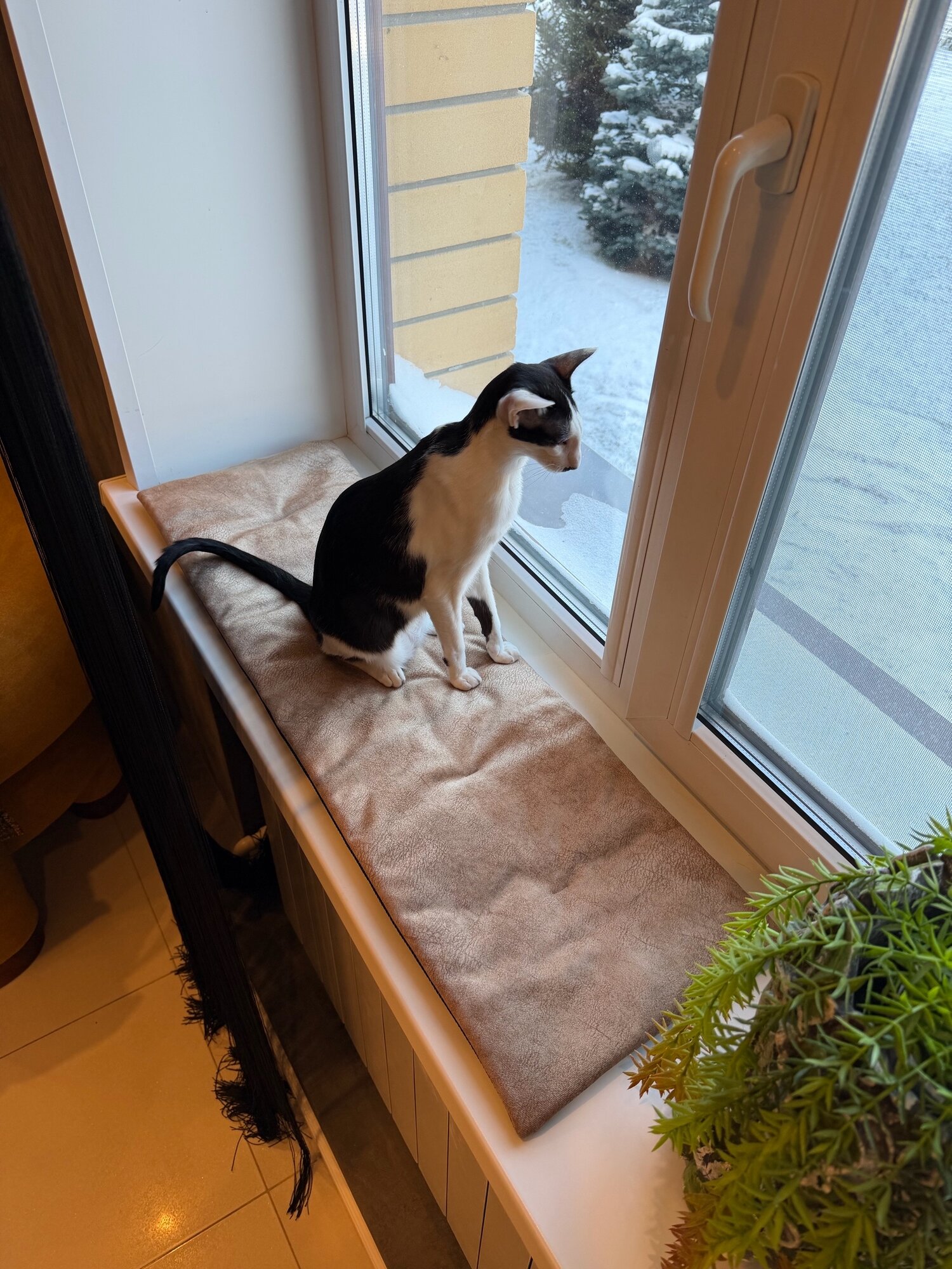 Лежанка 30*100 для кошек и собак на подоконник, на пол, в переноску. Антискользящая.